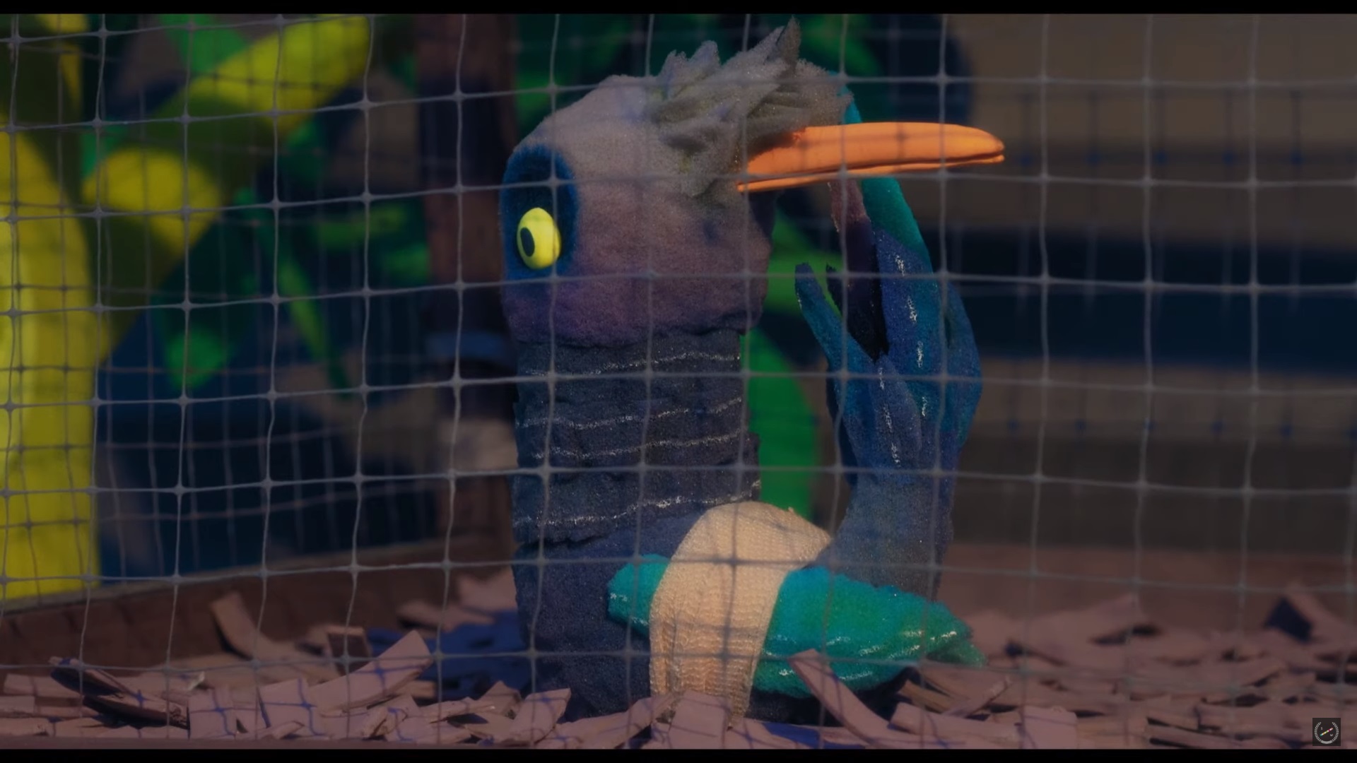 Stop-Motion Movie Shows the Exotic Pet Industry from a Bird’s POV ...