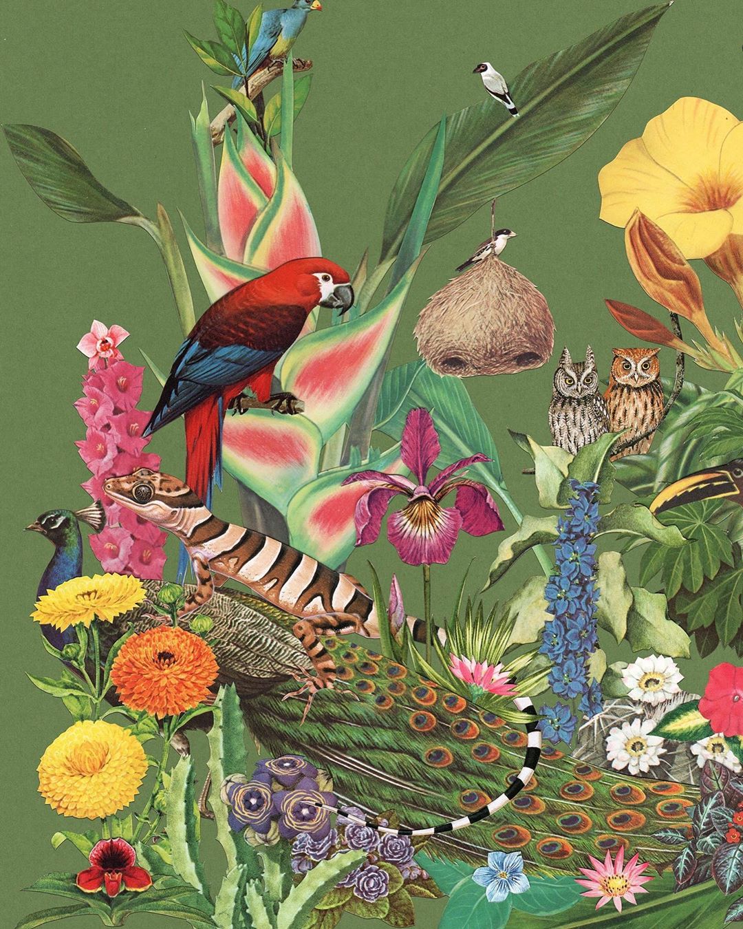 Tropical Vibe: Ted Feighan's Collage Art and Music Go Hand in Hand ...